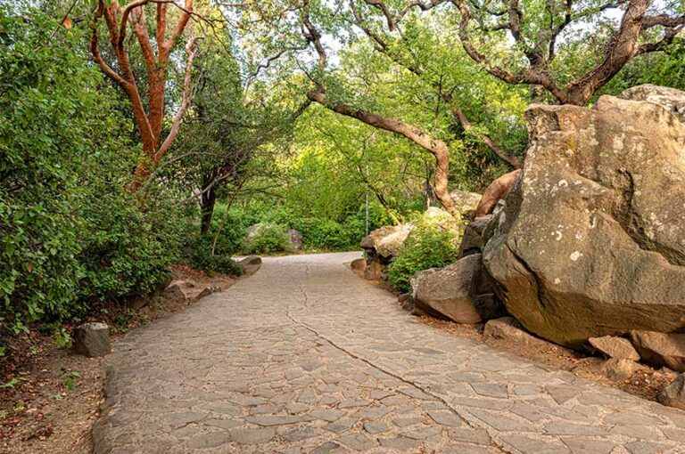 Nature walk pathways - Trendsquares